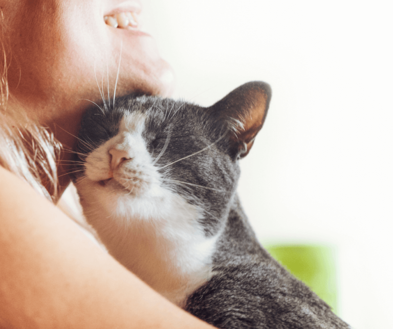 Head Bunting — What Does it Mean? - Ultimates