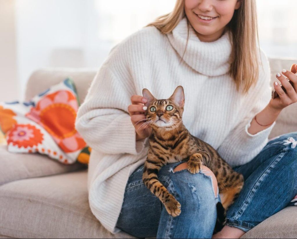 How Cats Are Good for Our Health - Ultimates